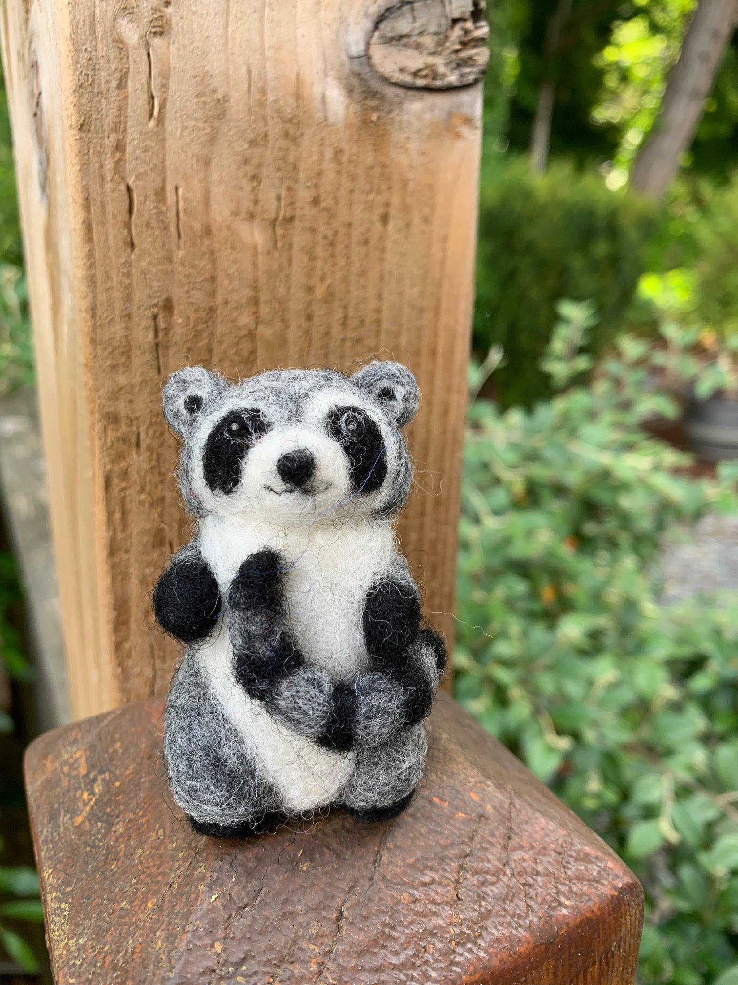 Animals – Spectacled Bear Conservation